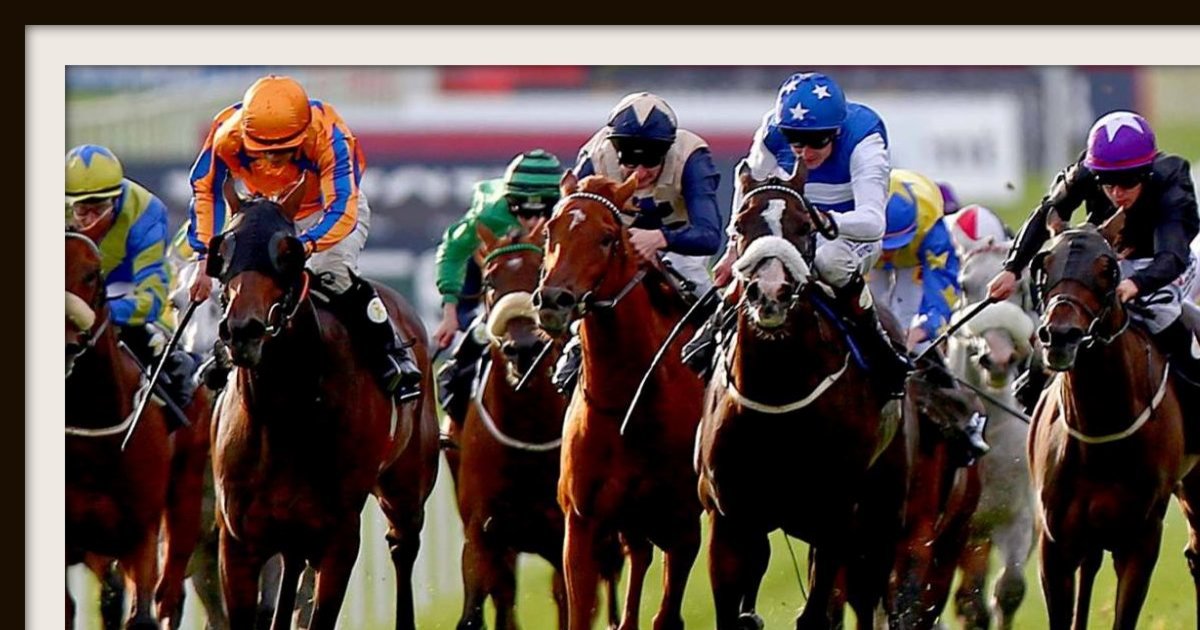 Racehorses or Insects? Quiz - By nabean