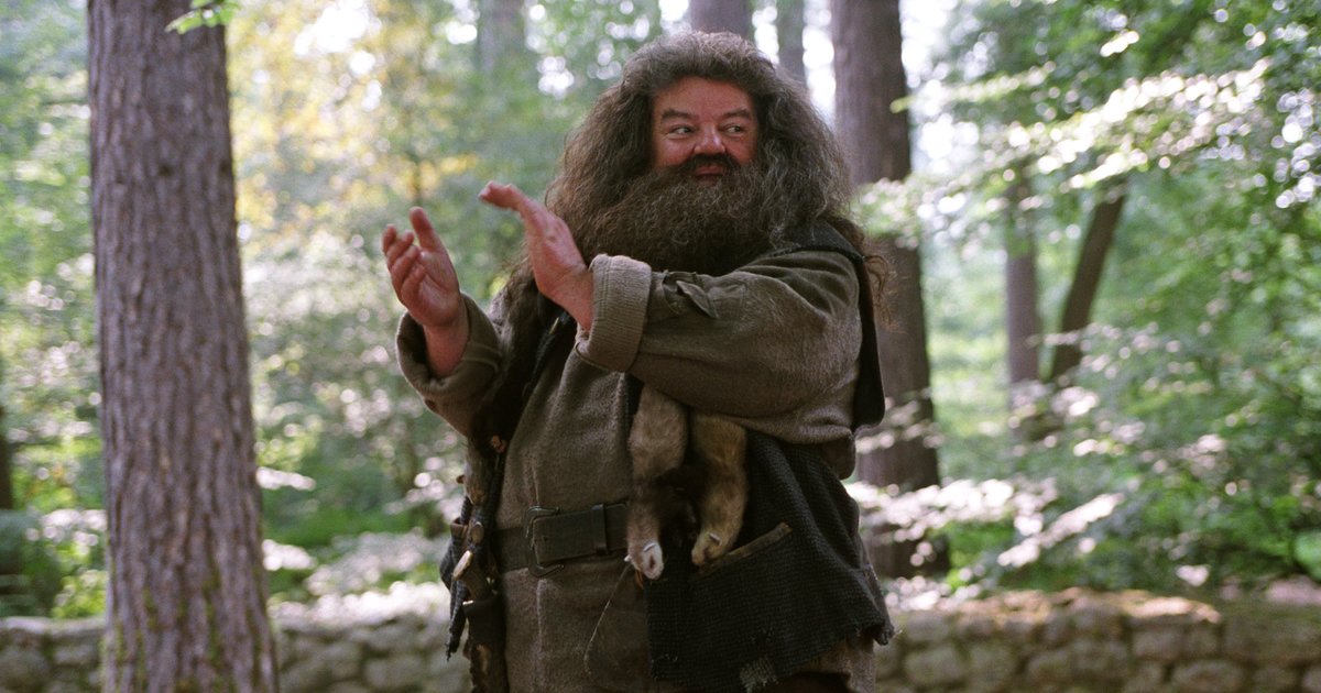 Who's Hagrid Talking About? Quiz
