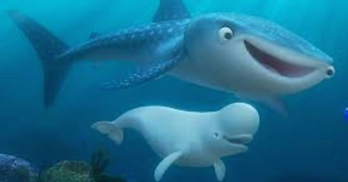 Finding Dory Characters Quiz - By BoggelTeam
