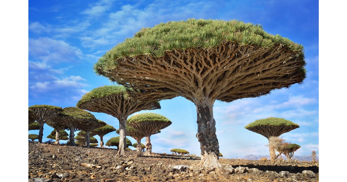 Interesting Islands by Trivia Fact Quiz - By Scuadrado