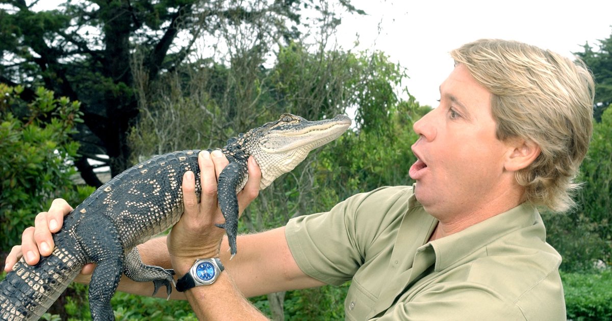 Who's That with Steve Irwin? Quiz