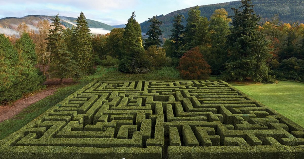 Take the Long Way Home (Maze) Quiz