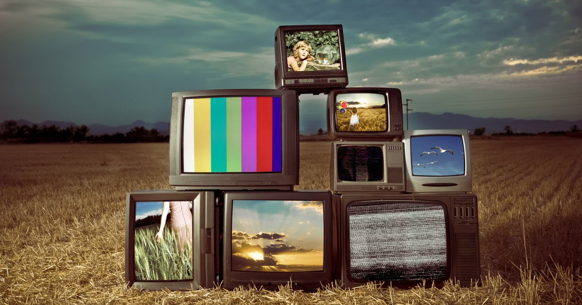 The Last: Television Quiz