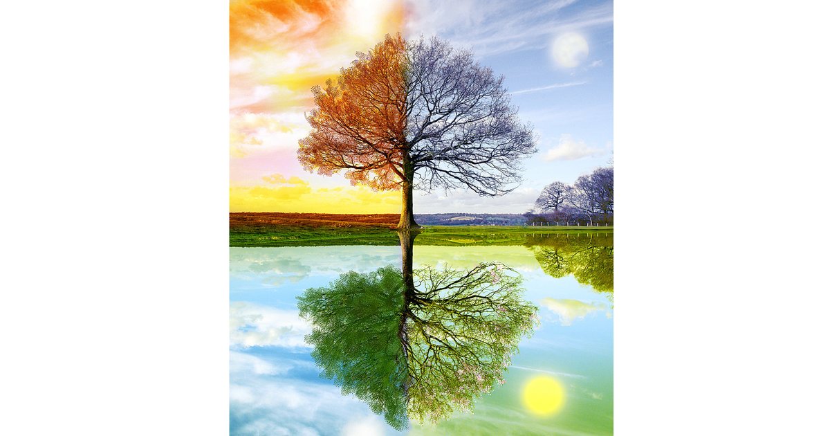 The 4 Seasons Quiz - By ZaydSporcle