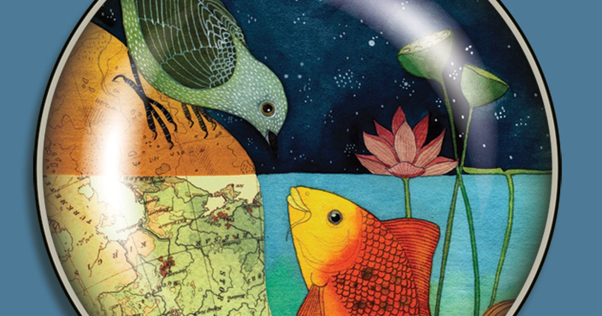 Bird or Fish Quiz - By NO_r_WAY