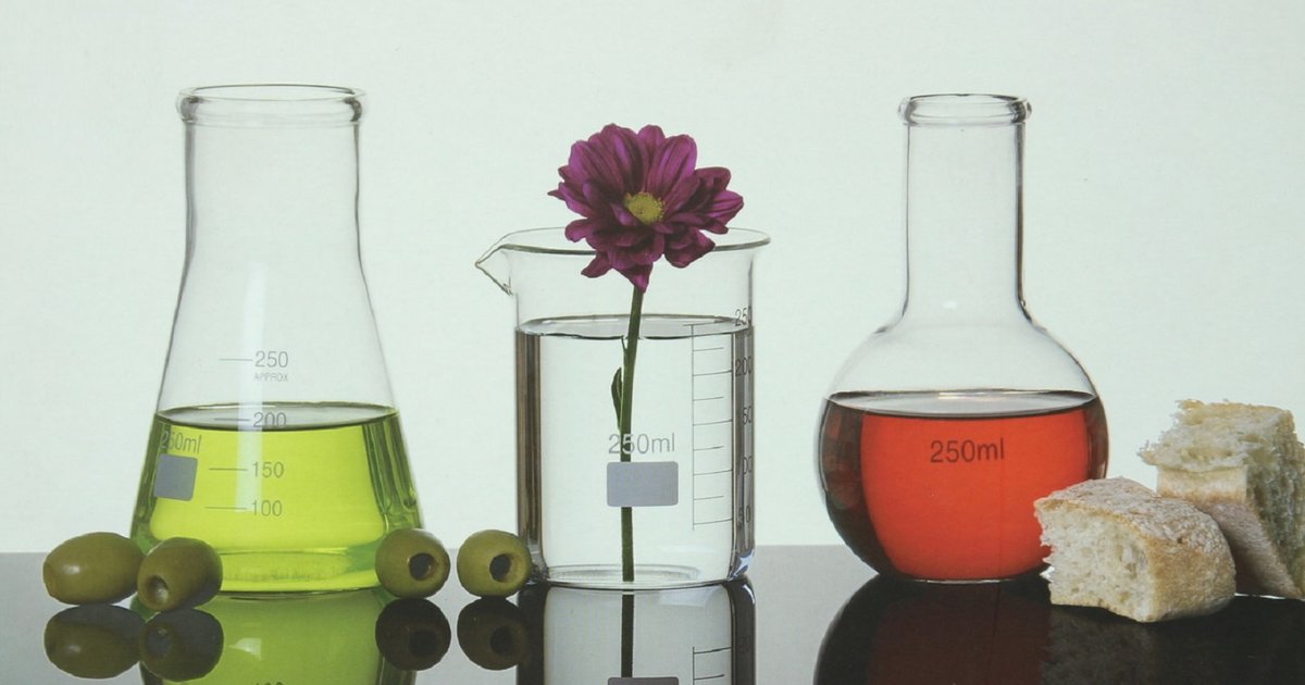 Category Cracker: Science II Quiz