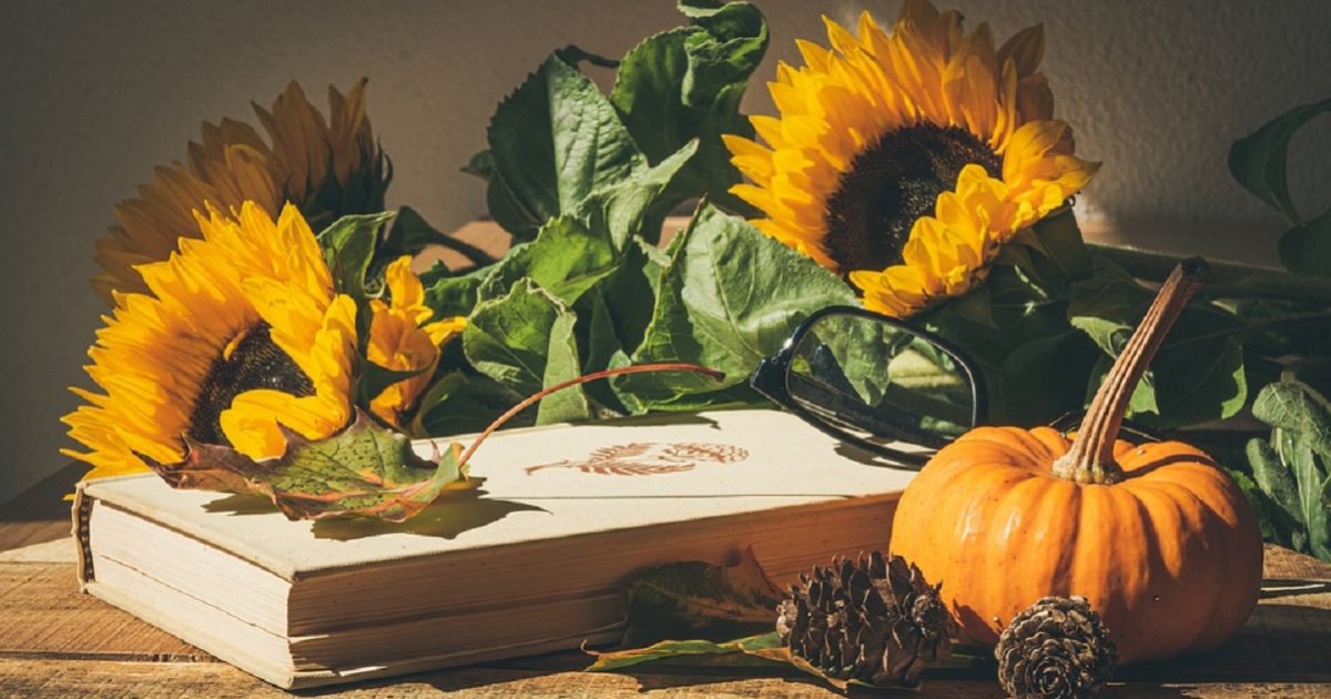 thanksgiving-words-in-book-titles-quiz-by-metashades