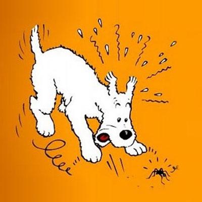 Famous Fictional Dogs Quiz