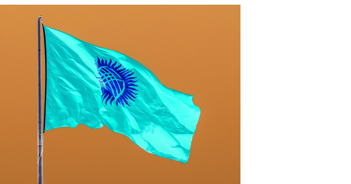 Negative Flags (Easy) Quiz - By Tasi