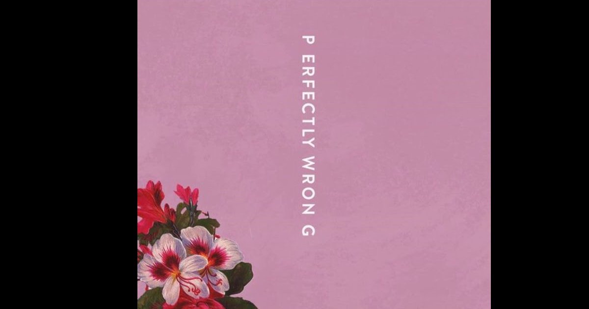 Perfectly wrong lyrics by shawn Mendes Quiz - By Husna_Hedayat