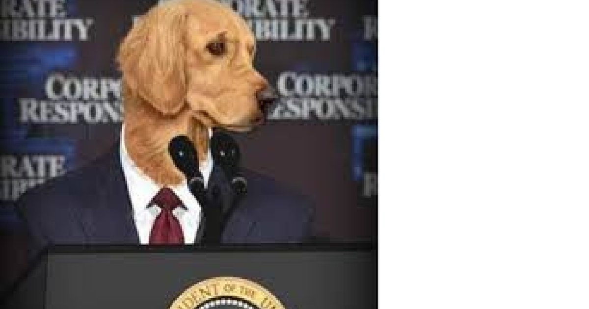 Animal Presidents Quiz By Frostgrump animal-presidents-quiz-by-frostgrump
