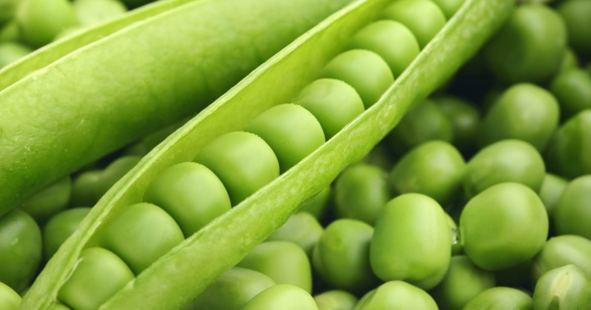 2 Words, 1 Answer: P Quiz