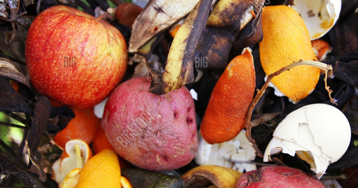 Top 10 Most Wasted Foods Quiz - By treessimontrees