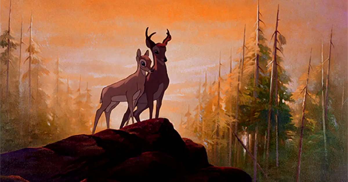 Disney at Sunset Quiz