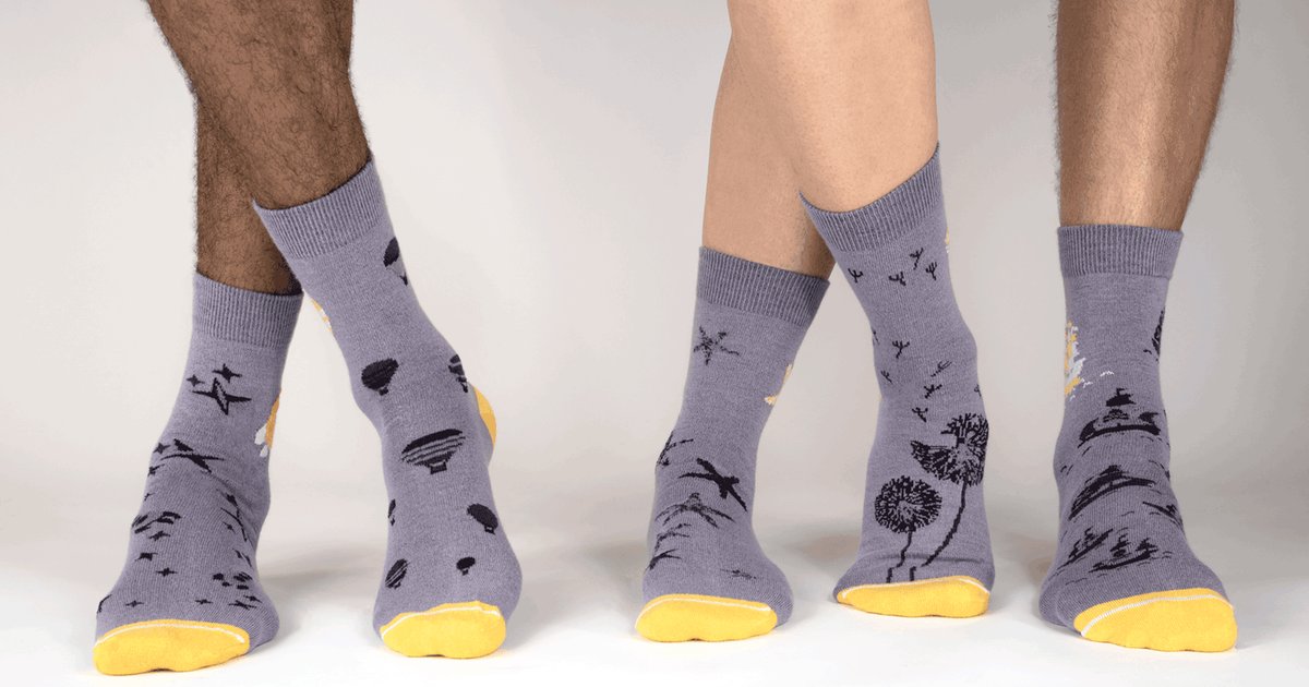 Pair Up the Socks! Quiz