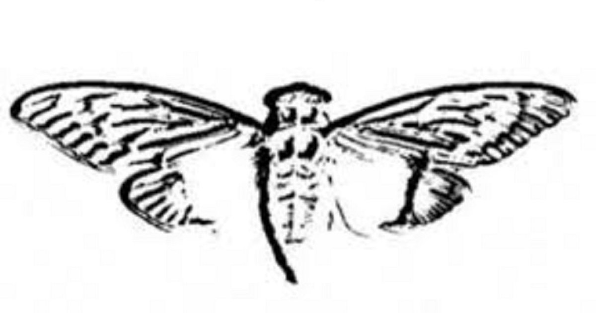 Gematria Primus Runes Quiz - By thejungpuck