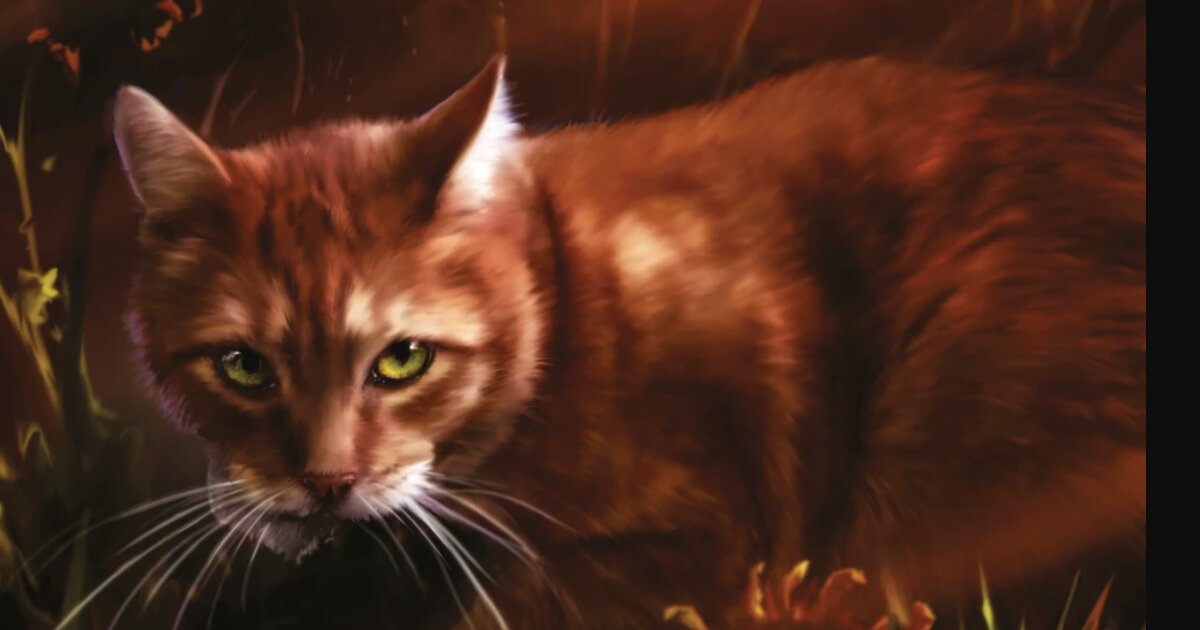 Warrior Cats: Crookedstar Quiz - By spiderwing21