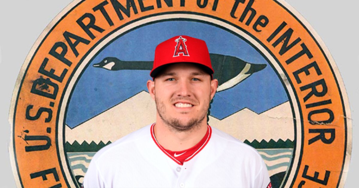 MLB Fish & Wildlife Names Quiz - By MrCyganik