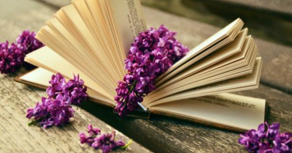Books With Numbers In Their Titles Quiz By Starwriter1109 Books With Numbers In Their Titles Quiz By Starwriter1109