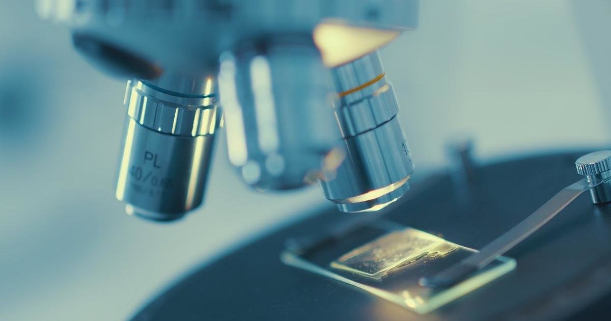 MEGA Biology Definitions Quiz - By Scimitar_2002