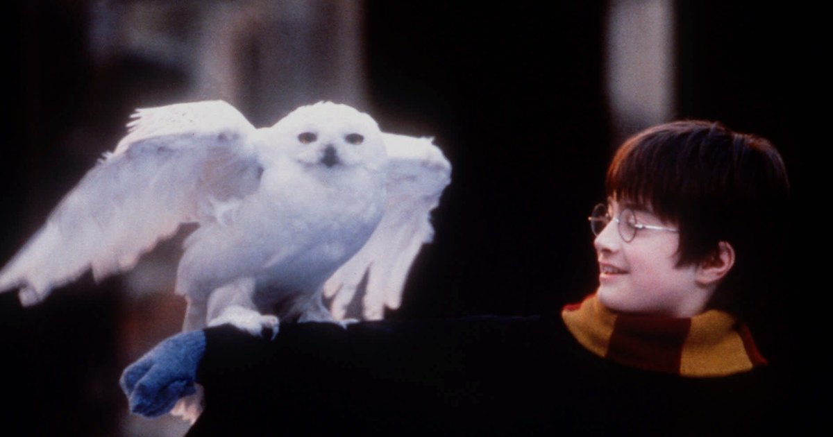 Quick Pick: Harry Potter Birds Quiz - By GeoEarthling