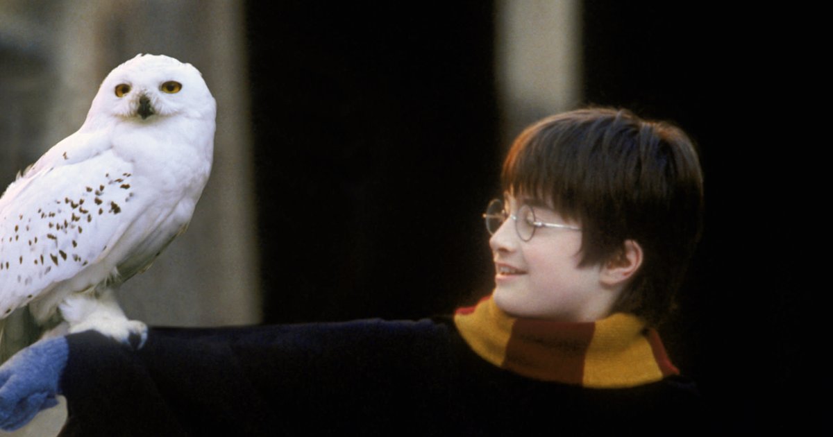 Harry Potter Animals and Creatures Quiz - By innerstar06