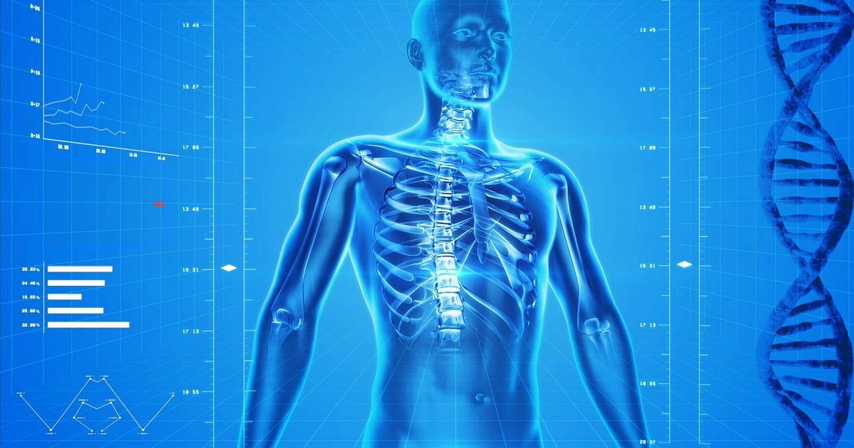 Biggest Bones and Body Bits Blitz Quiz