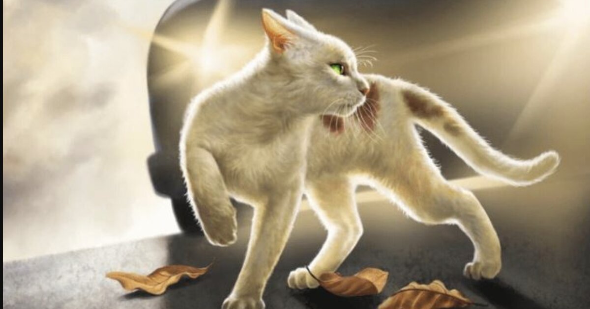 Warrior Cats Pebbleshine's Kits Allegiances Quiz - By spiderwing21