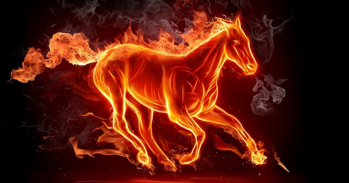 Find the Fire Animals Quiz