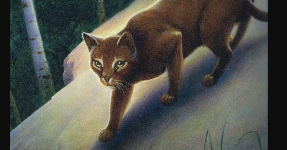 Warrior Cats Windstar Family Tree Quiz - By spiderwing21