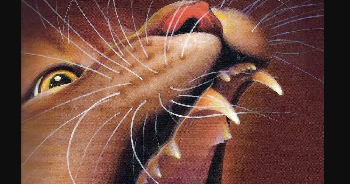 Warrior Cats Appledusk Family Tree Quiz - By spiderwing21