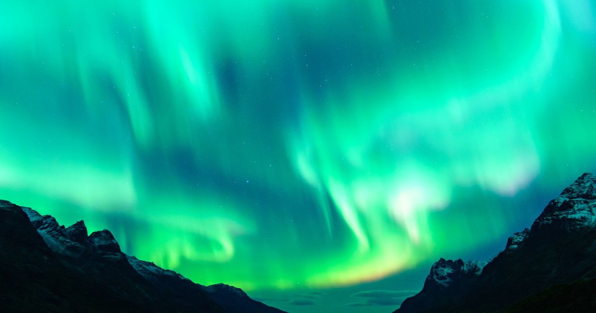 Golden Compass Characters by Daemon Form Quiz - By dots223