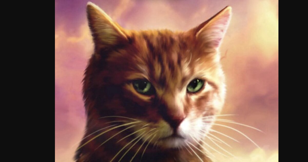 Warrior Cats Hailstar Family Tree Quiz - By spiderwing21