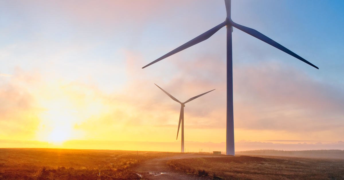 Wind Cells Quiz - By t_rev19