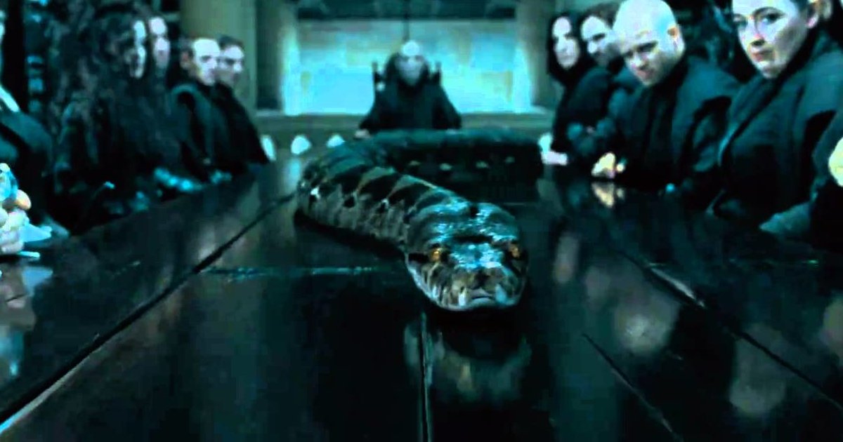 Harry Potter: Snakes Venn Diagram Quiz