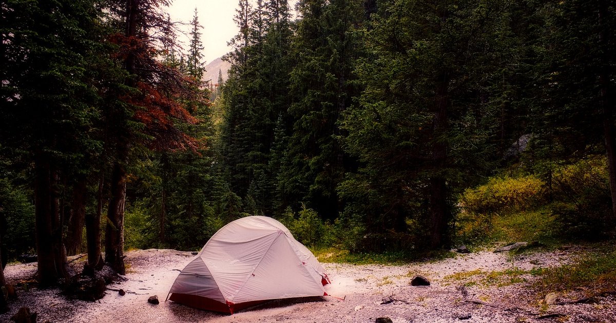 Tents and Trees Logic Puzzle #8 Quiz - By garolo