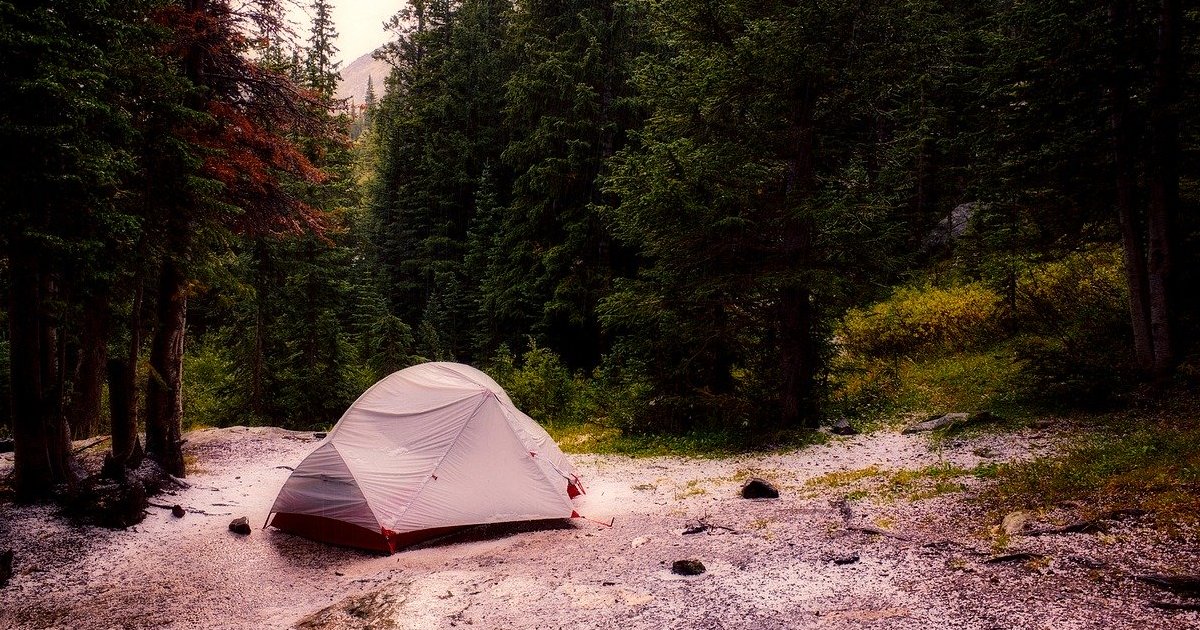 Tents and Trees Logic Puzzle #10 Quiz - By garolo