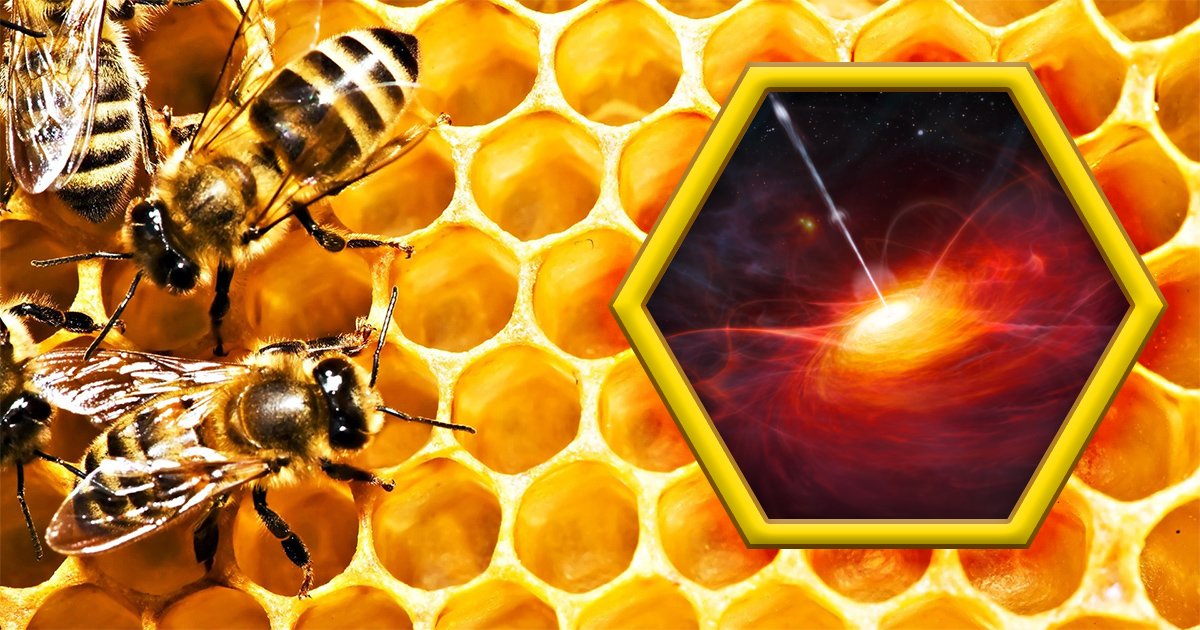 Science Honeycomb Quiz