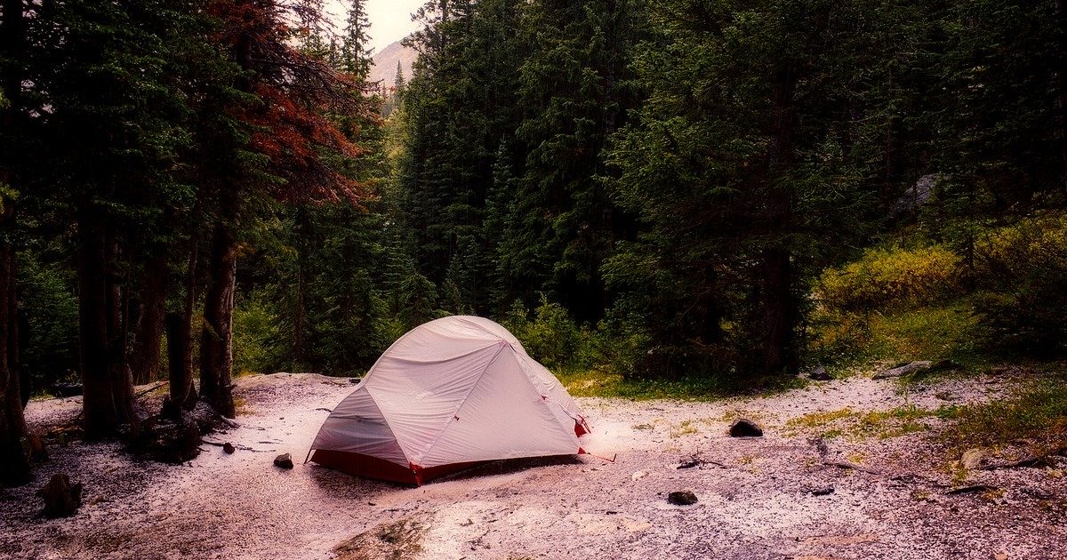 Tents and Trees Logic Puzzle #12 Quiz - By garolo