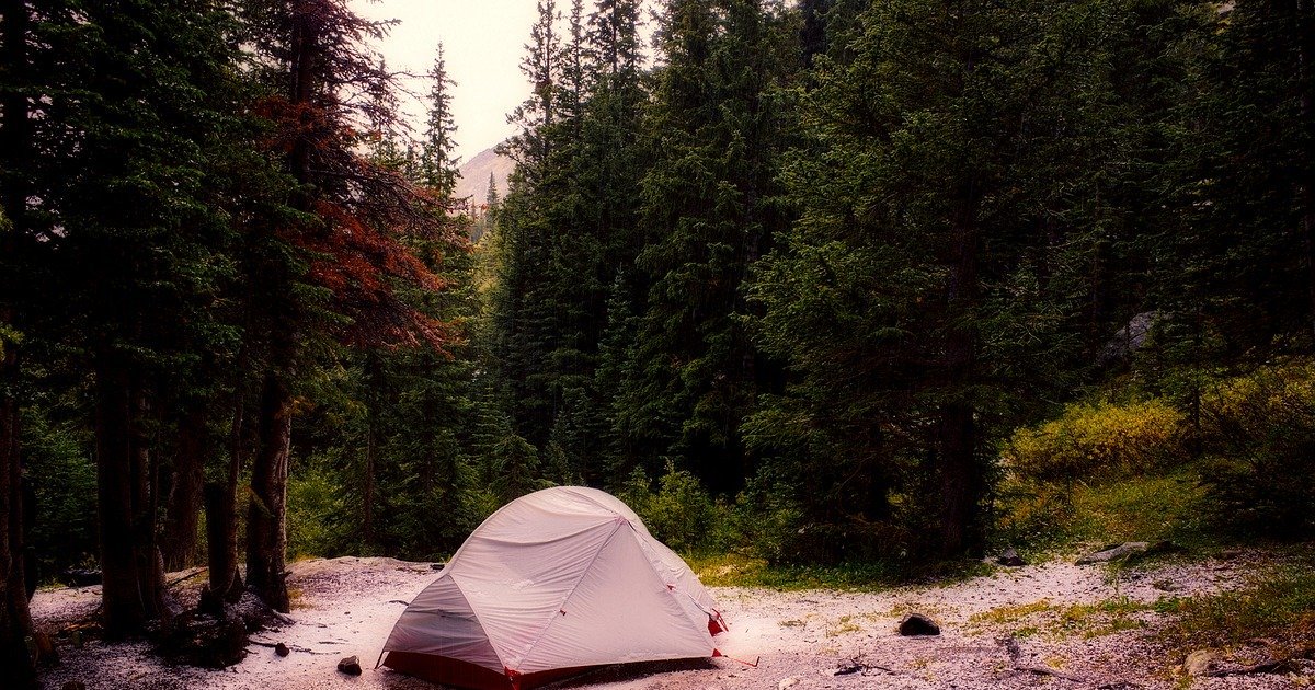 Tents and Trees Logic Puzzle #1 8x12 Quiz - By garolo