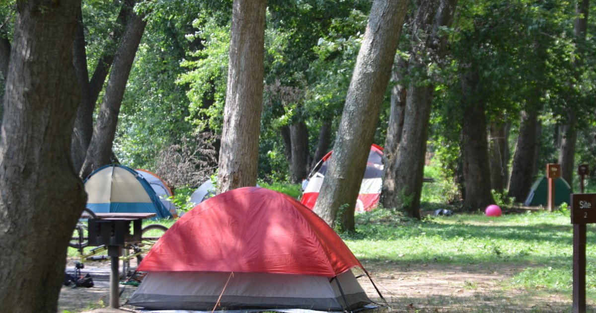 Tents and Trees Logic Puzzle #24 7x9 Quiz - By garolo