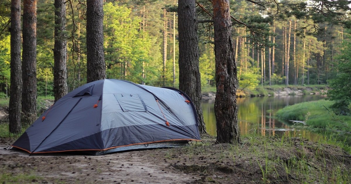 Tents and Trees Logic Puzzle #33 Quiz - By garolo