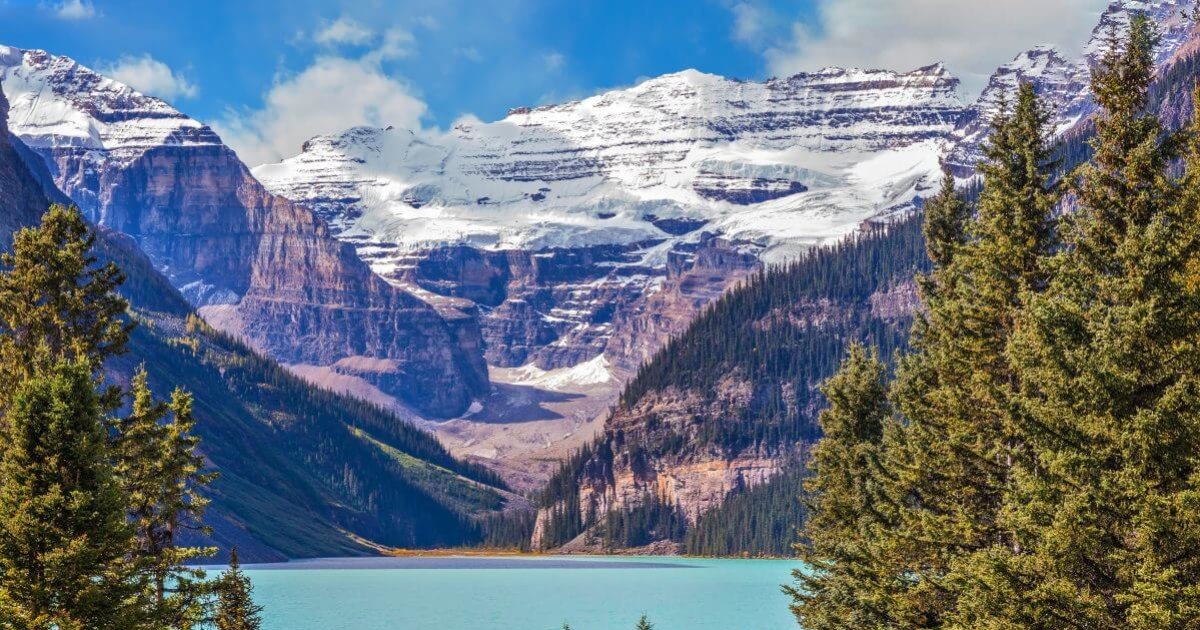 Non specific word ladder Quiz - By UmbreonFanatic19