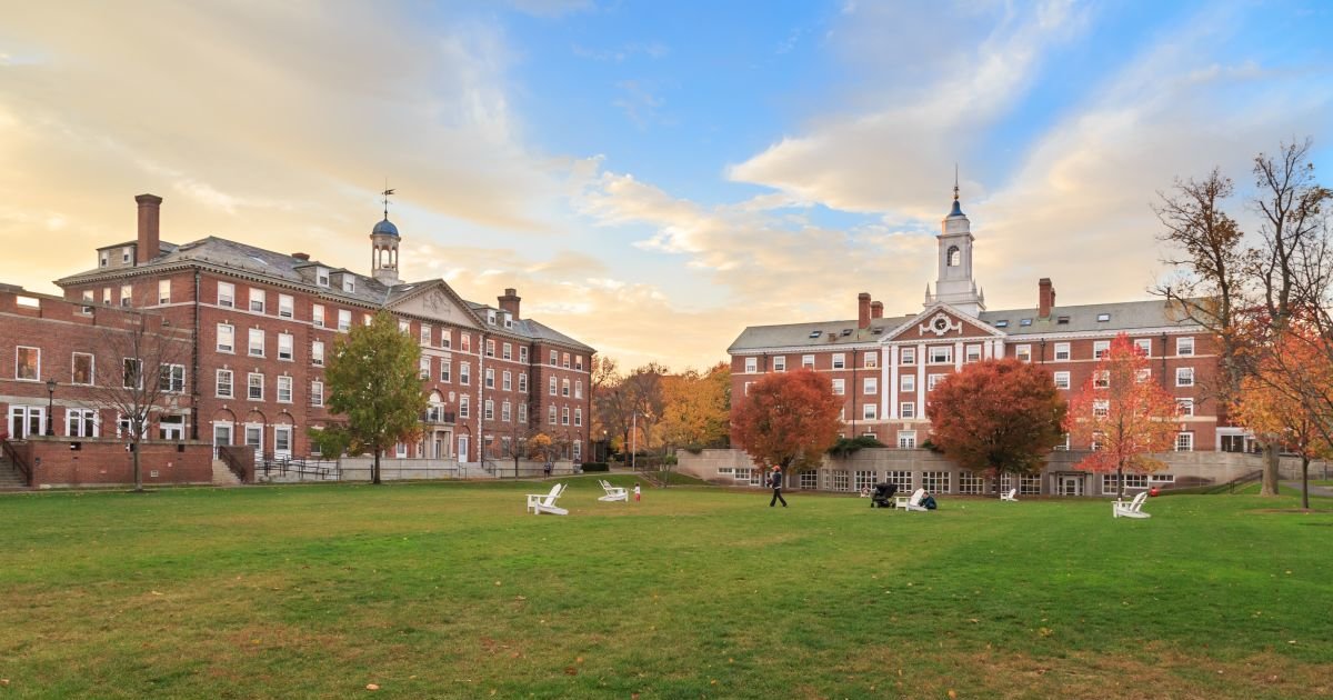 Harvard University or Brooklyn College? Quiz - By WillieG
