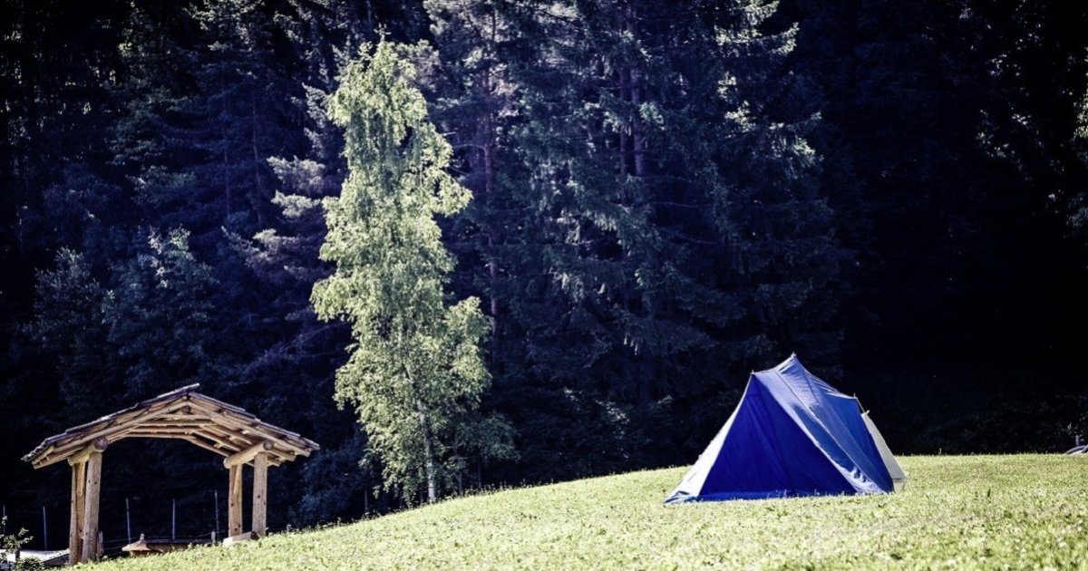 Tents and Trees Logic Puzzle #54 Quiz - By garolo