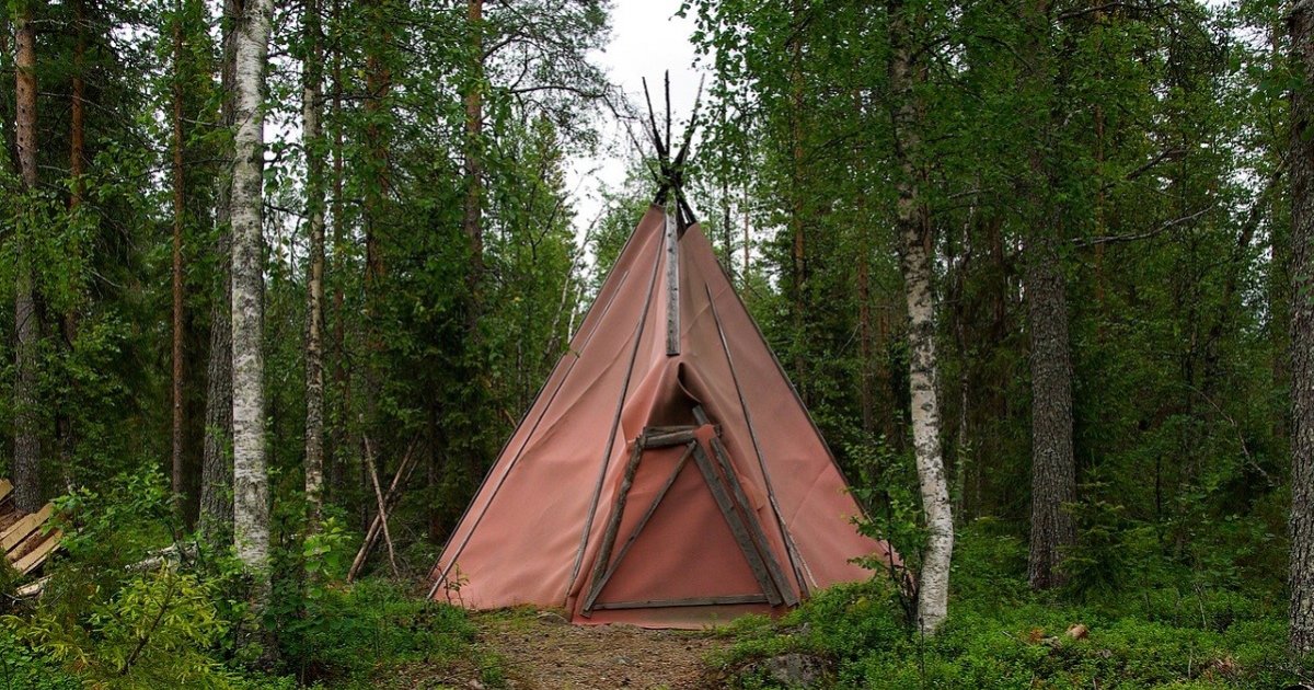 Tents and Trees Logic Puzzle #56 Quiz - By garolo