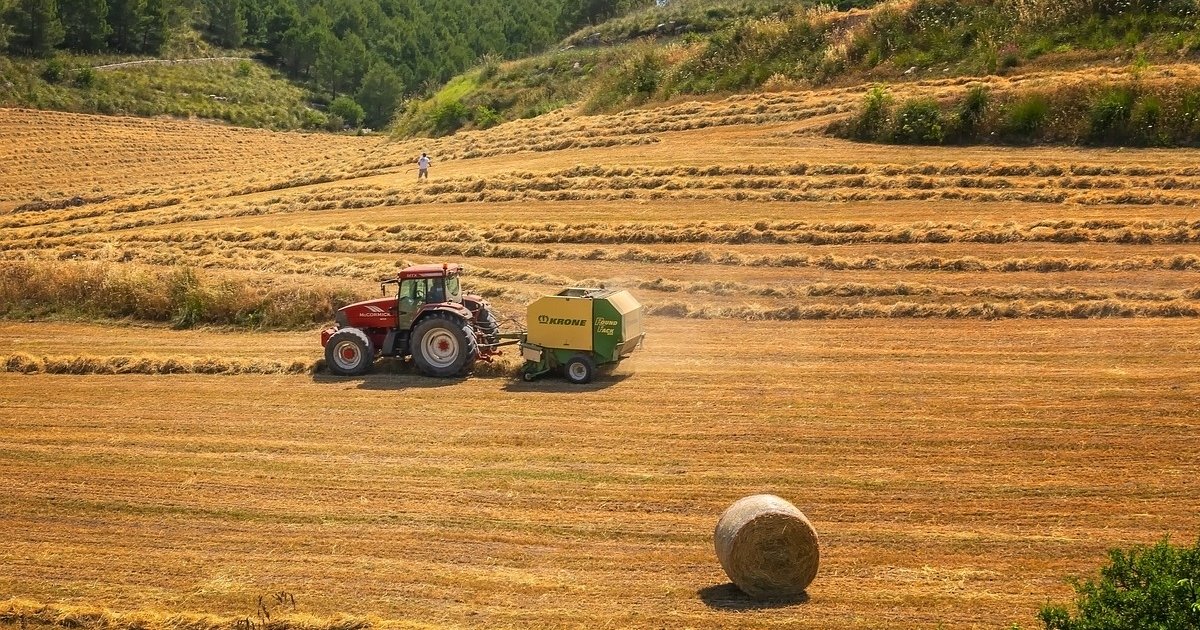 Trivia harvest Quiz - By Quizmaster91