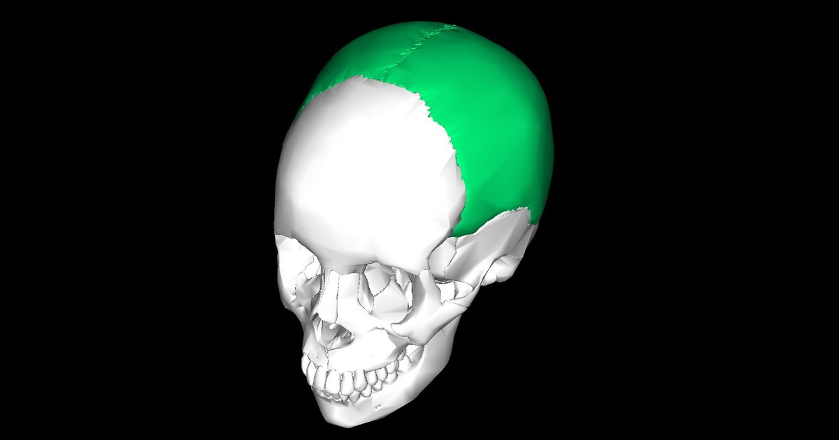 Anatomy Of The Parietal Bone Quiz By Hannahmat Anatomy Of The Parietal Bone Quiz By Hannahmat