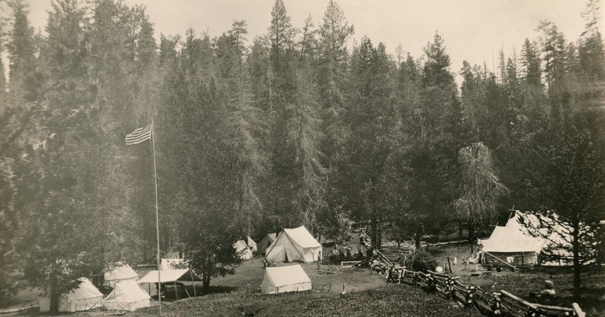 Tents and Trees Logic Puzzle #98 Quiz - By garolo