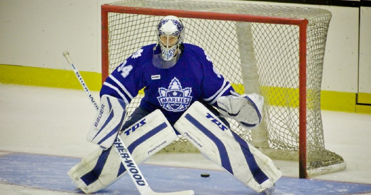 Toronto Professional Sports Teams - Past and Present Quiz - By garolo